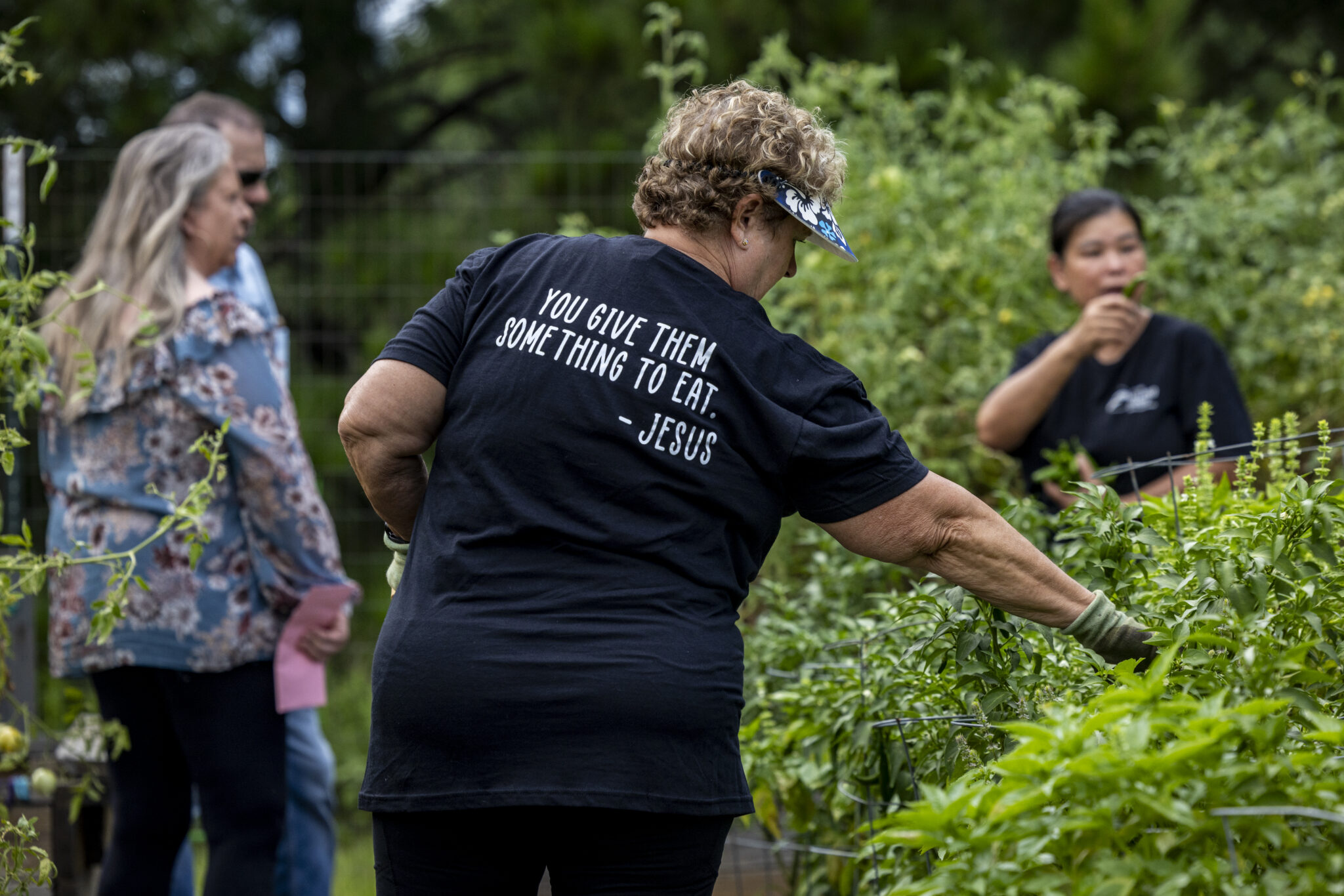 Cy-Fair Helping Hands Community Garden continues to grow and give back ...